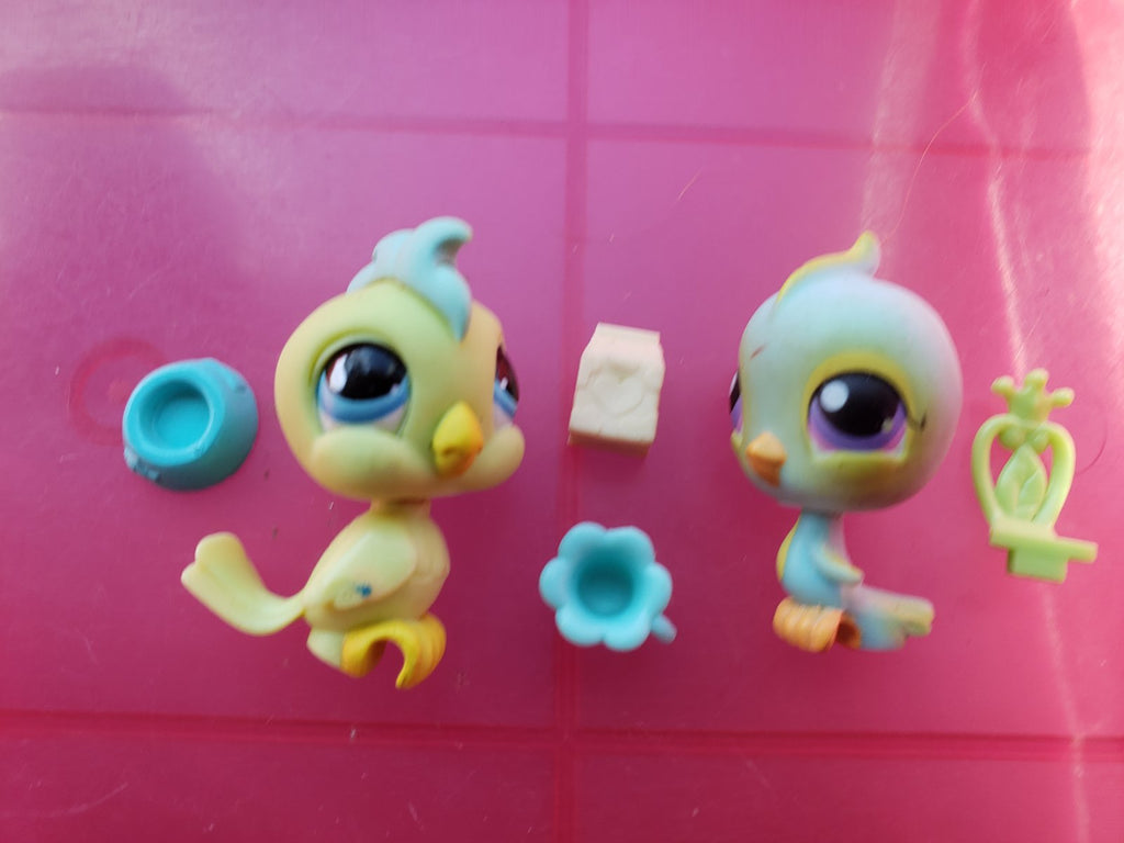 Home / Products / Littlest Pet Shop Bird of the Same Feather Parakeet ...