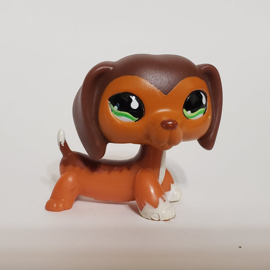 LIKE NEW Littlest Pet Shop Savannah Dachshund Dachsund Savvy 675 HTF ...