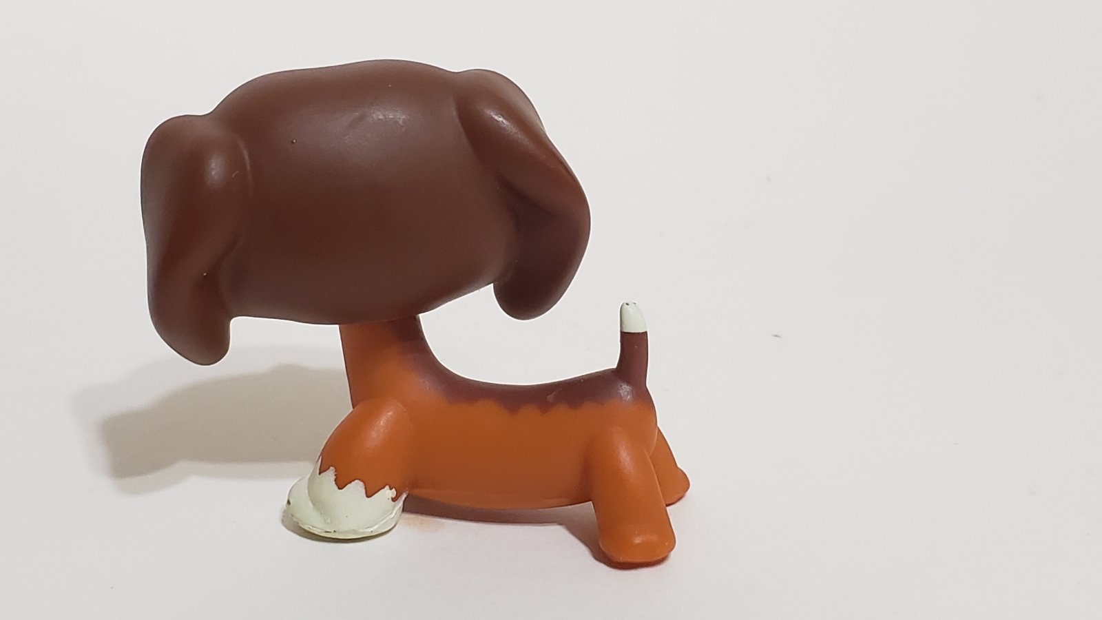 Littlest Pet Shop Savannah Dachshund Dachsund Savvy 675 HTF LPS Dashund ...