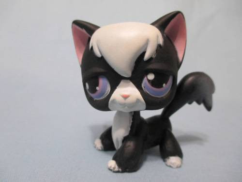 Littlest Pet Shop Black White Angora Kitty Cat with Purple Eyes