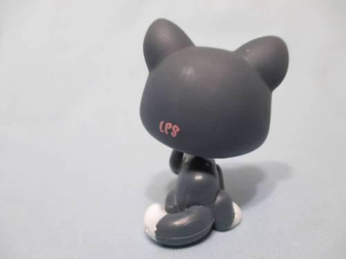 Littlest Pet Shop Gray White Licking Shorthair Cat 2204 Blue Green Eyes ...