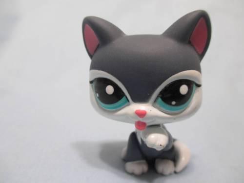 Littlest Pet Shop Blythe Blue Licking Shorthair Cat 2204 Blue Green ...