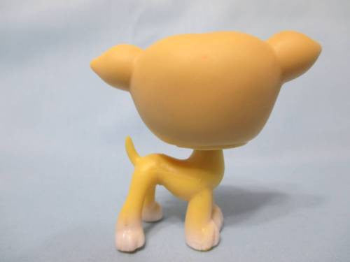 LIKE NEW Littlest Pet Shop 875 Whippet Greyhound Dog Green Eyes ...