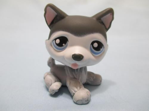 Littlest Pet Shop Dog Husky Gray Blue Eyes Puppy 210 Authentic Lps ...