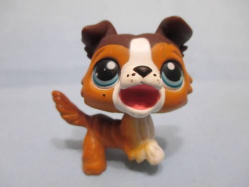 Littlest Pet Shop Collie Dog Puppy 237 Open Mouth Brown Tan White LPS ...