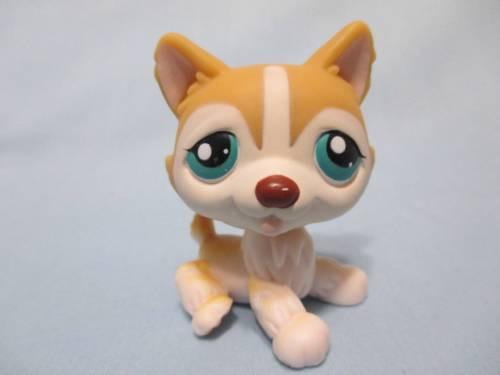 LIKE NEW Littlest Pet Shop LPS Tan & White HUSKY 386 Teal Eyes RARE Dog ...