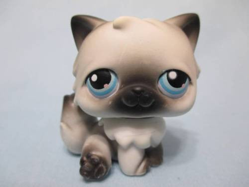 Littlest Pet Shop 60 Gray Black & White Persian Kitty Cat Authentic Lps ...