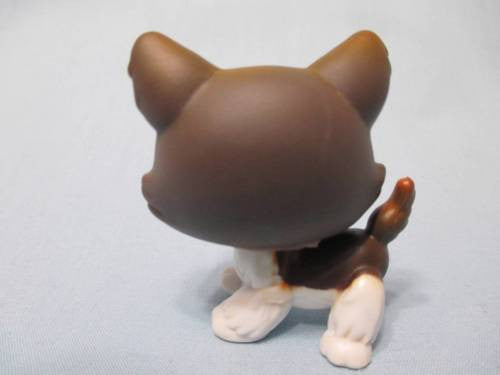 LIKE NEW Littlest Pet Shop 174 Chocolate Brown White Husky RARE Dog ...