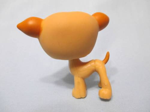 LIKE NEW Littlest Pet Shop Dog Hound Greyhound 498 Authentic LPS SEE ...