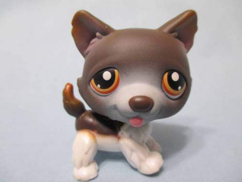 LIKE NEW Littlest Pet Shop 174 Chocolate Brown White Husky RARE Dog ...