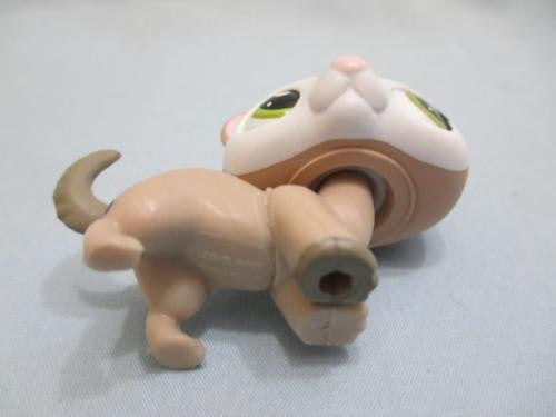 Littlest Pet Shop Ferret Taupe and Cream 1573 Authentic Lps JN4JPO133