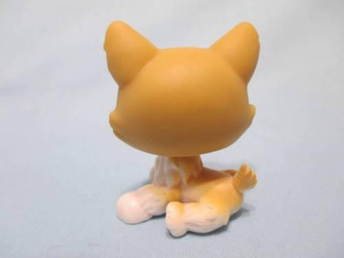 LIKE NEW Littlest Pet Shop LPS Tan & White HUSKY 386 Teal Eyes RARE Dog ...