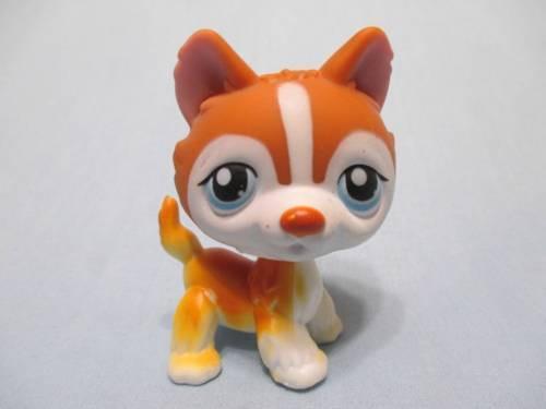 LIKE NEW Littlest Pet Shop Husky 341 Brown Orange and White Dog Puppy ...