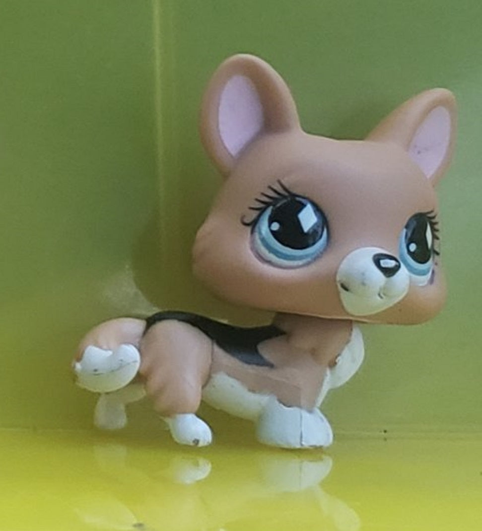 Littlest Pet Shop 639 Corgi Puppy Dog Authentic LPS Authentic Blemished ...