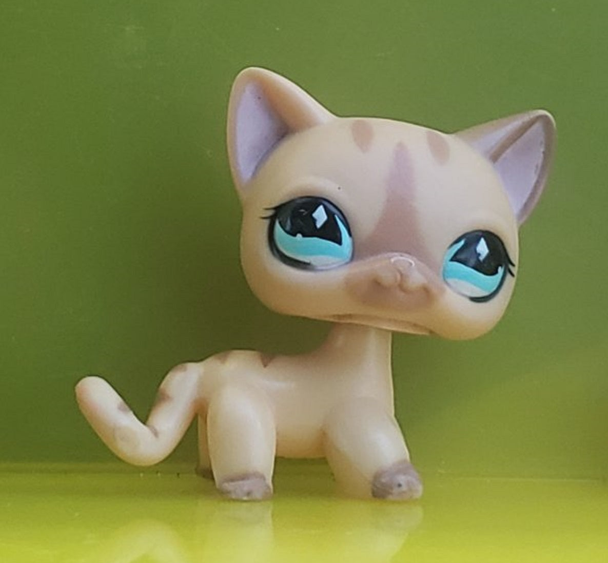 Littlest Pet Shop Cat Kitten Shorthair 886 Cream Yellow with Brown ...