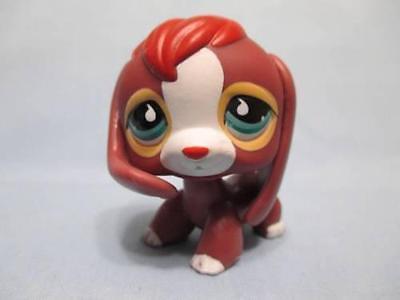 Littlest Pet shop 849 Brown Red Beagle with blue eye Rare LPS Authentic ...