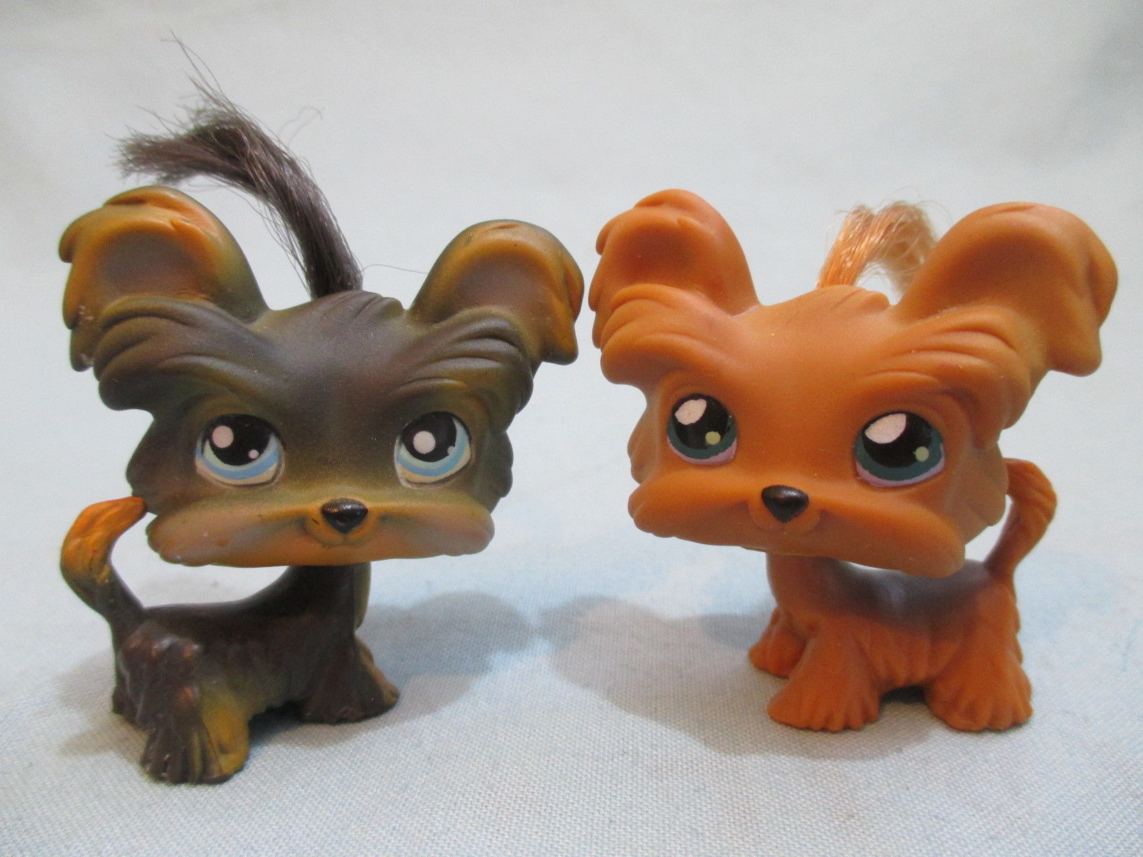 Littlest Pet Shop LOT Shi Tzu Yorkie 6 141 Brown Gray Puppy Dog SET ...