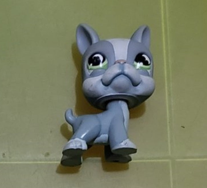 Littlest Pet Shop Puppy Dog 857 Grey Boston Terrier with Bat Eyes ...