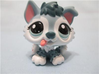 Littlest Pet Shop Dog Baby Puppy Husky Blue 2036 Authentic Lps Sep23npo120
