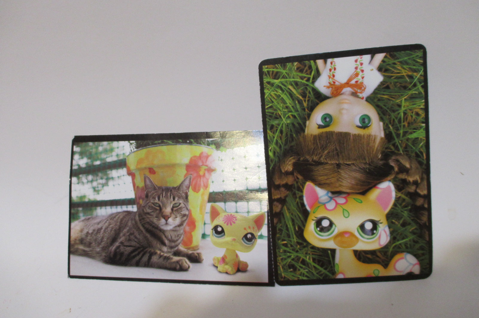 Littlest Pet Shop Lot of LPS Postcard Accessory LPS MR11Nfg