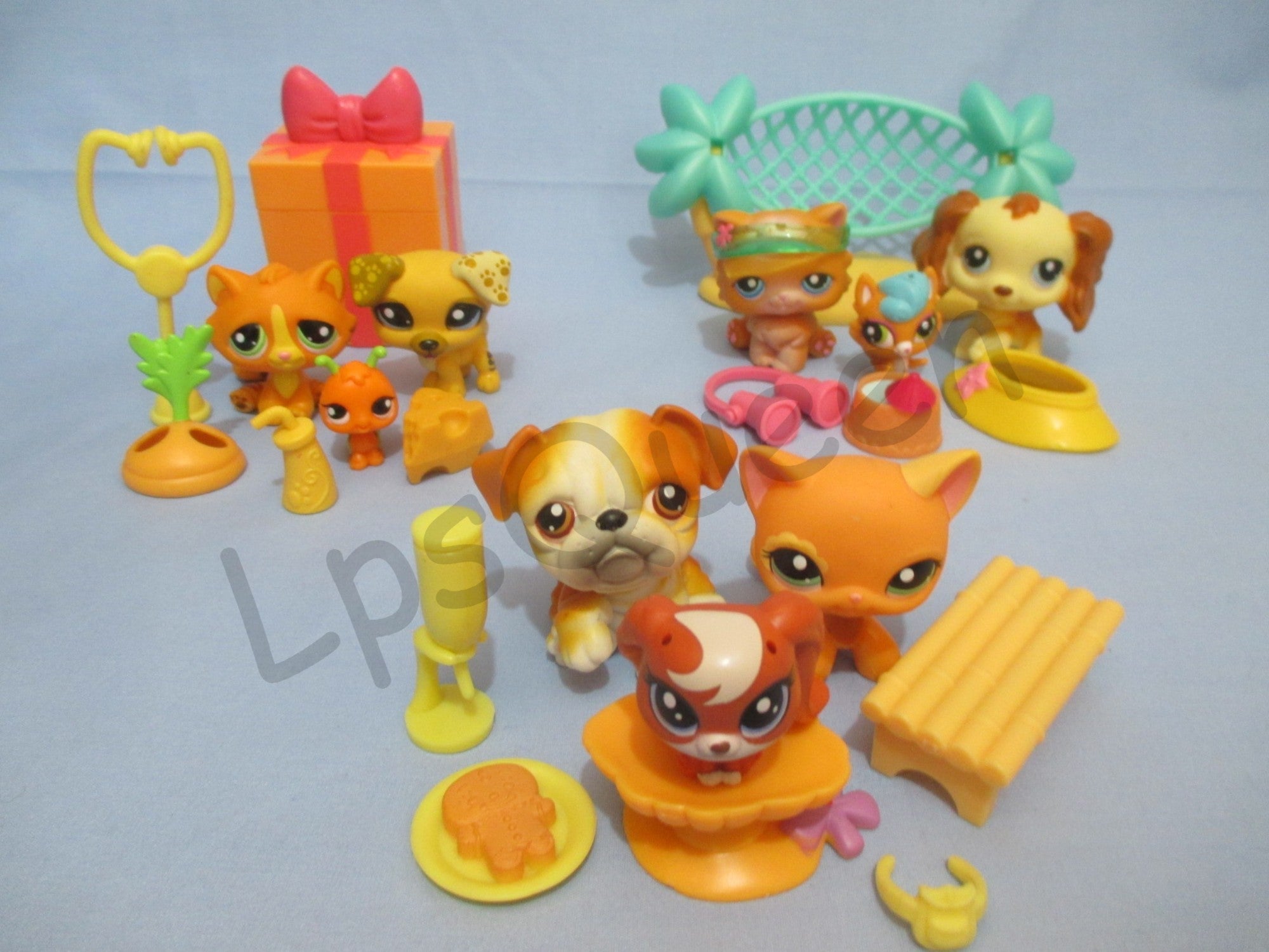 Littlest Pet Shop Random Lot Orange Cat Dog Baby 6 Pcs 3 LPS 3 ...
