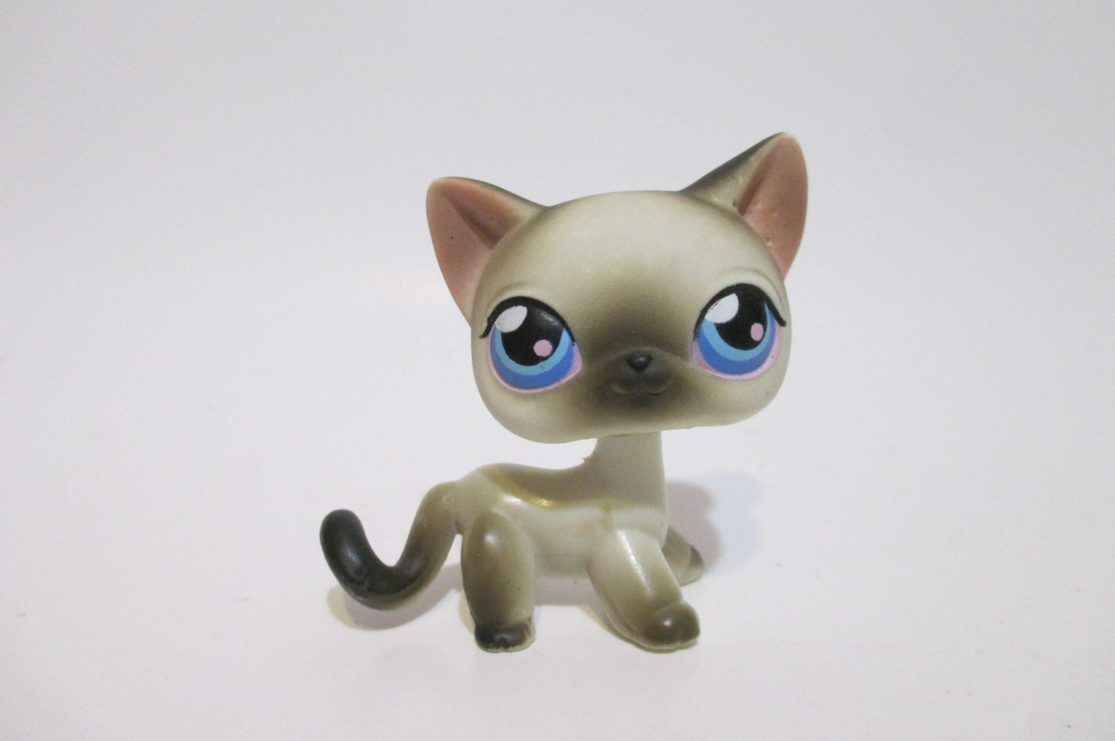 Littlest Pet Shop Cat Siamese Shorthair 5 Authentic Lps MY16A