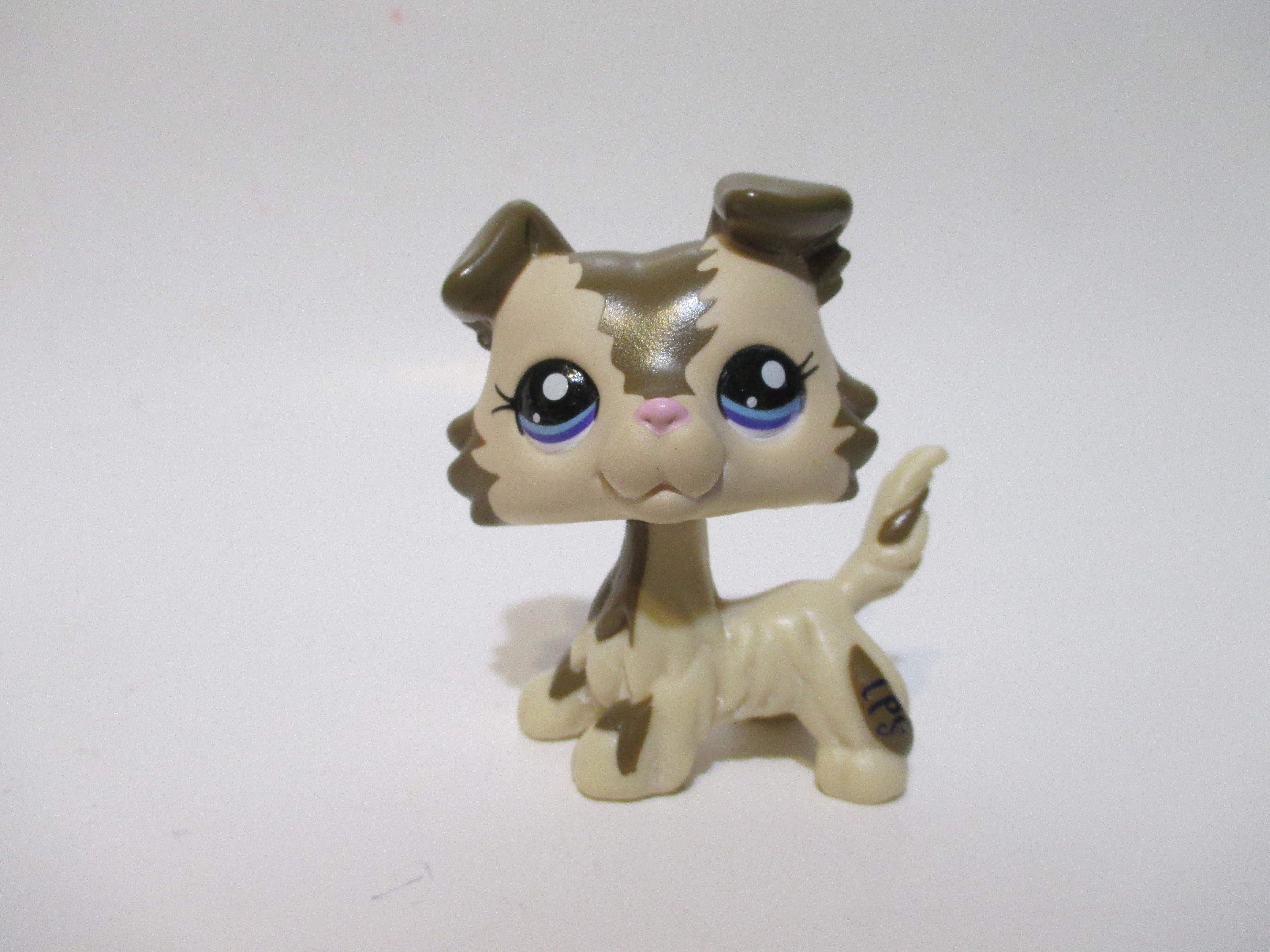 Littlest Pet Shop 2210 Brown Cream Collie Puppy Dog with Blue Eyes LPS ...