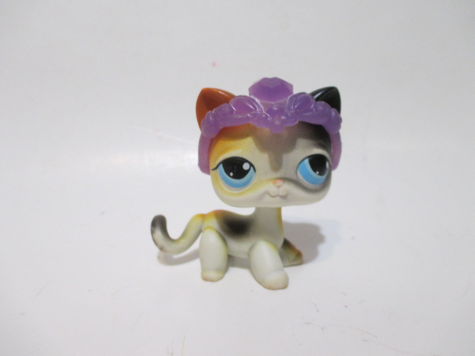 Littlest Pet Shop Cat Calico 106 Shorthair Siamese Short Hair with ...