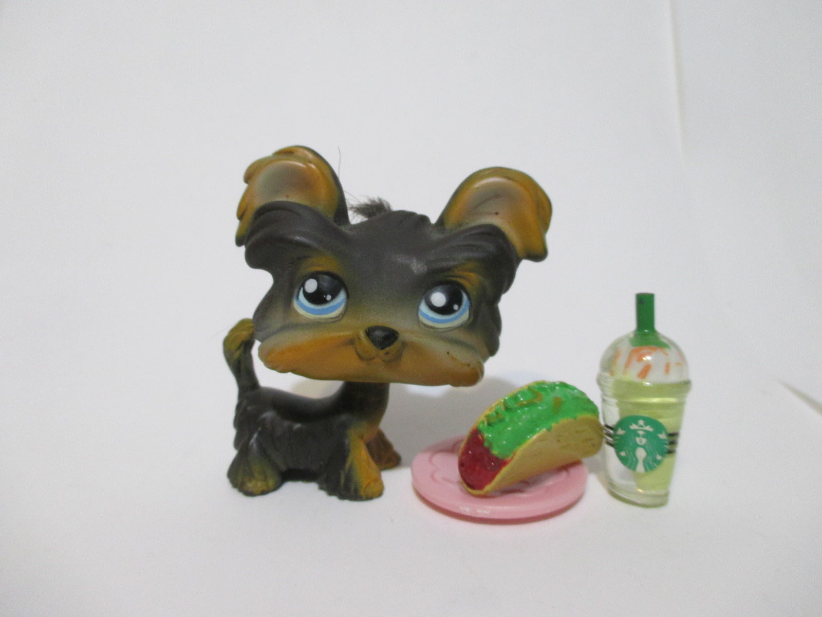 Littlest Pet Shop Lot Shih Tzu Yorkie 141 Brown w/ Random Accessories ...
