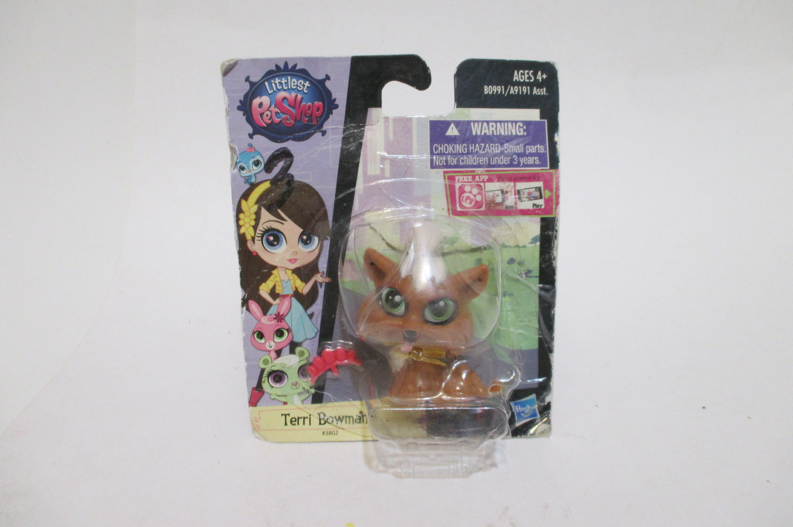 Littlest Pet Shop Terri Bowman Yorkie Terrier Authentic LPS New In Box ...