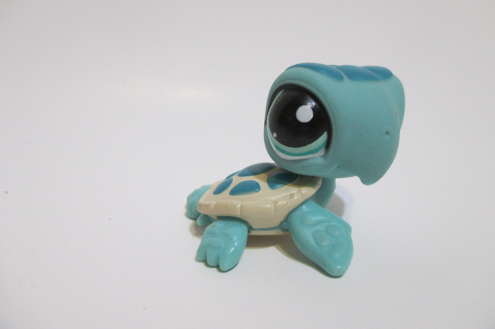 Littlest Pet Shop Rare Two Tone Turtle Tortoise 2097 Authentic LPS AIK ...