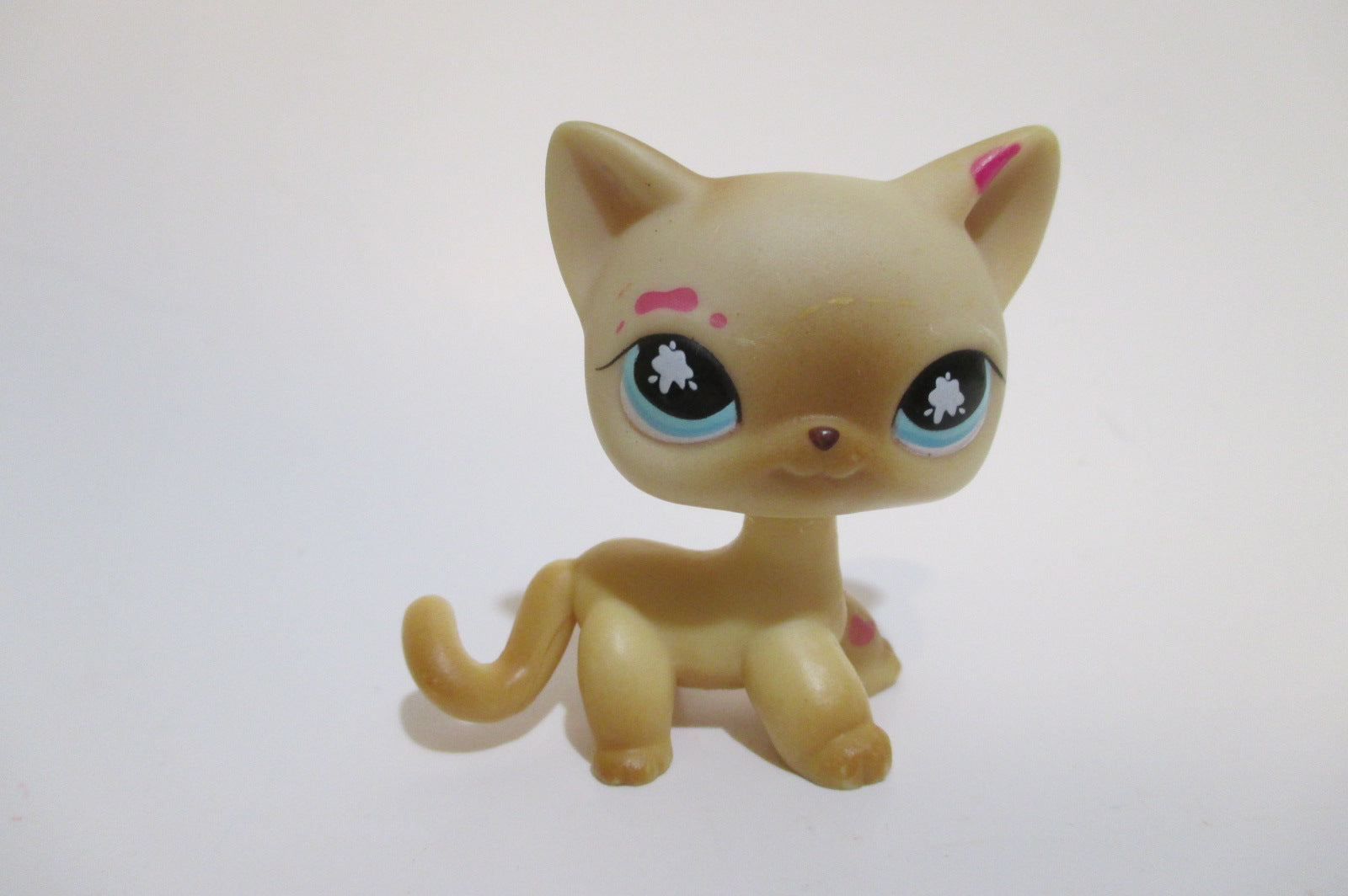 Littlest Pet Shop 816 Cream Tan & Brown Shorthair Kitty Cat Kitten LPS ...