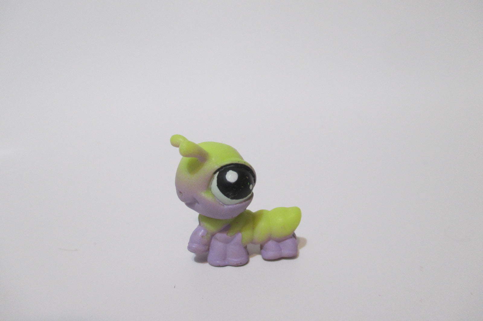 Littlest Pet Shop Purple Green Cricket Inchworm Bug Caterpillar ...