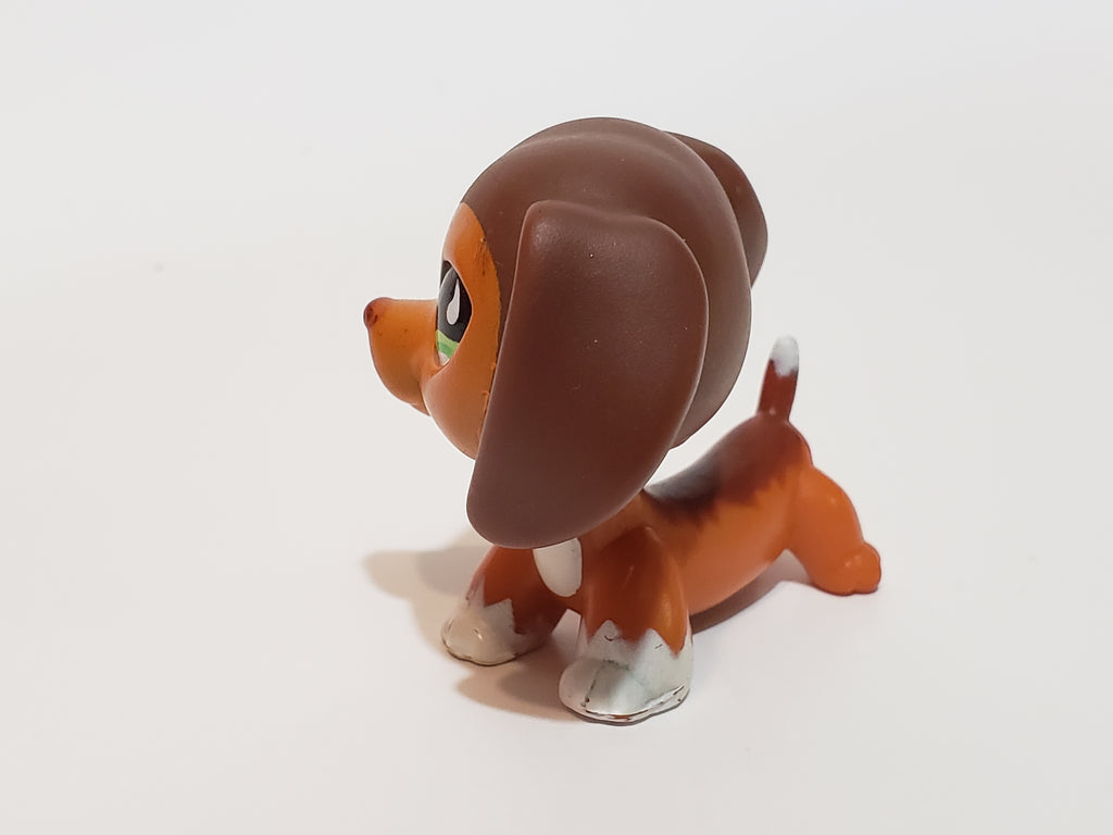 Littlest Pet Shop SAVANNAH Dachshund Dachsund SAVVY 675 HTF LPS Dashund ...