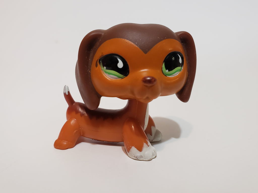 Littlest Pet Shop SAVANNAH Dachshund Dachsund SAVVY 675 HTF LPS Dashund ...