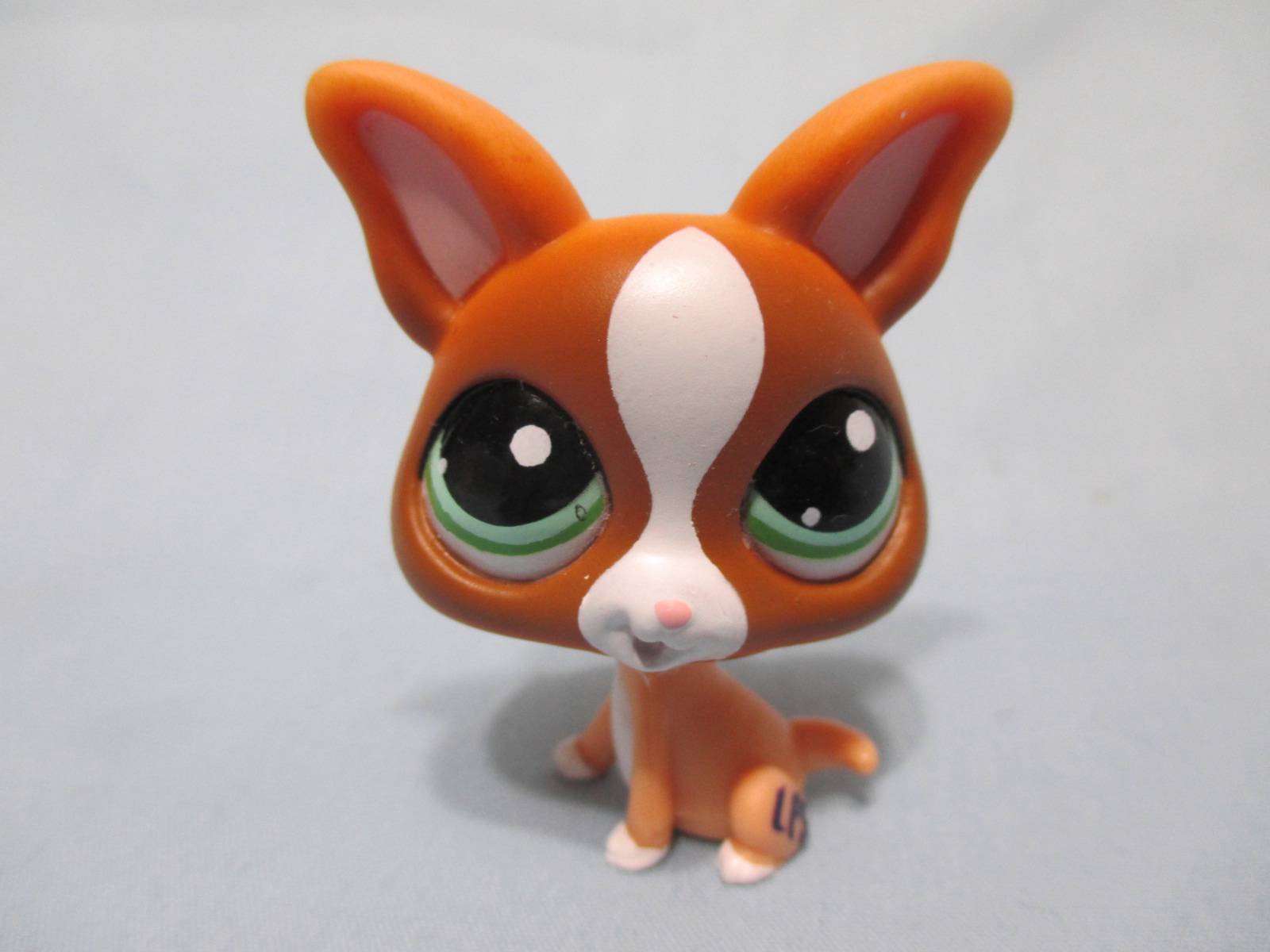 Littlest Pet Shop 1568 Brown White Chihuahua Puppy Dog Sitting 100% ...
