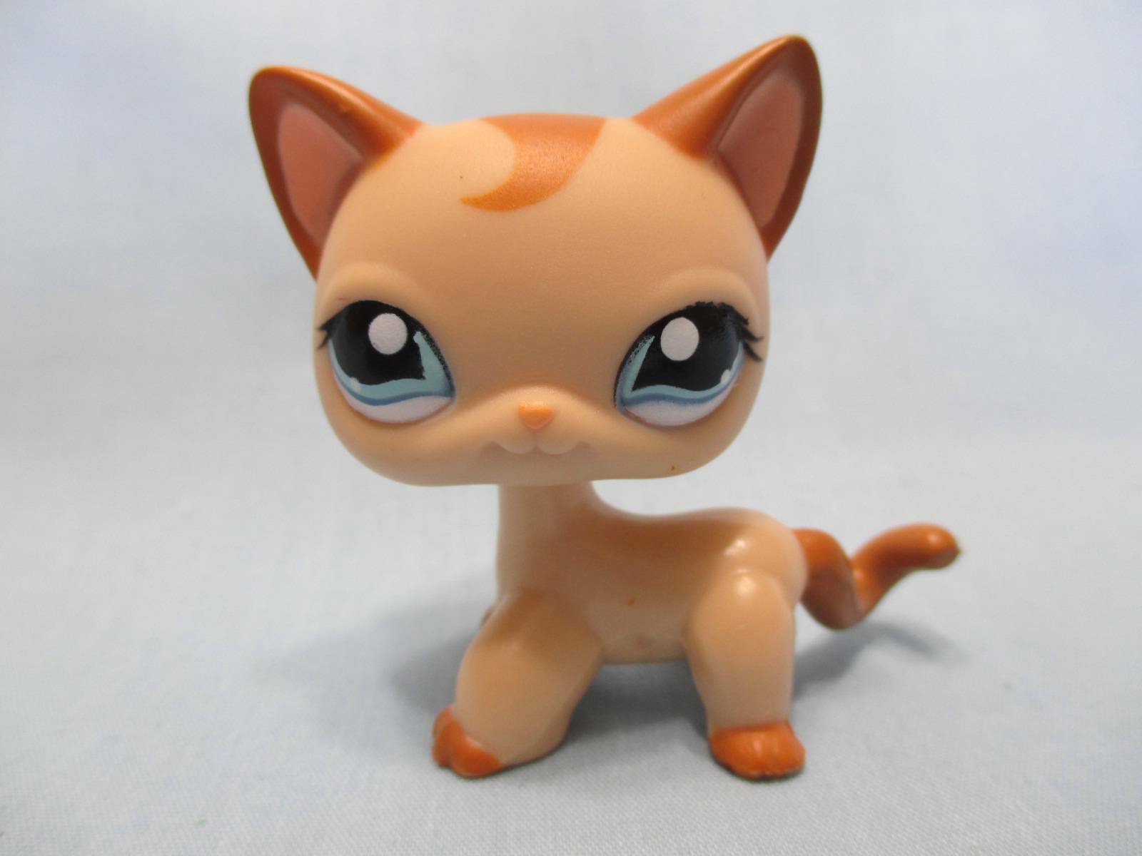 Littlest Pet Shop Cat Shorthair Siamese 1024 Authentic Lps jn27jPO98