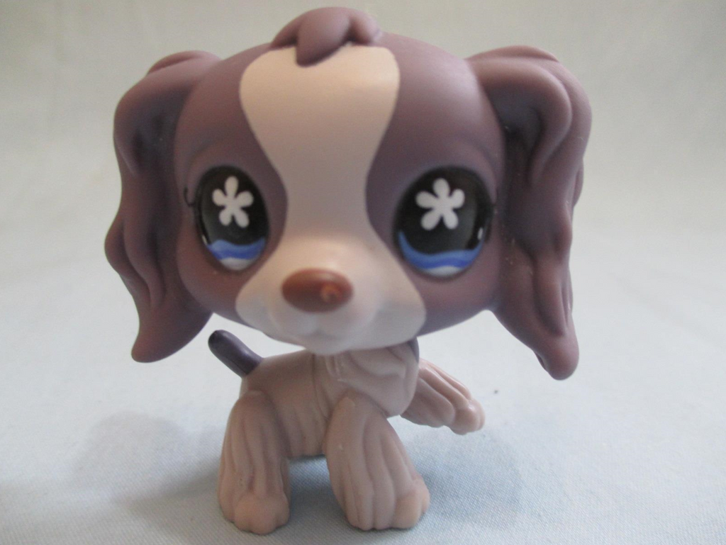 Home / Products / LIKE NEW Littlest Pet Shop 672 Cream Cocker Spaniel ...