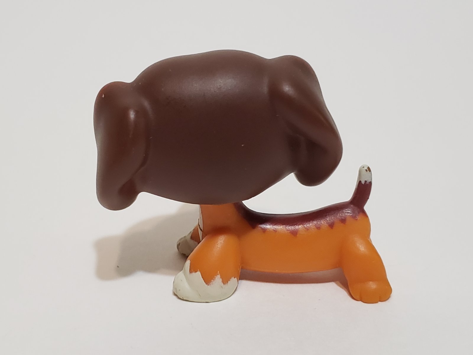 Littlest Pet Shop Savannah Dachshund Dachsund Savvy 675 HTF LPS Dashund ...