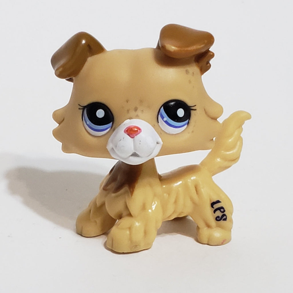 Littlest Pet Shop Collie Dog 2452 with Blue Purple Eyes Authentic?? LPS ...