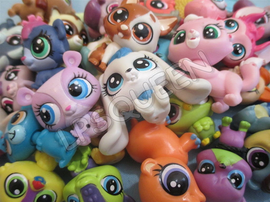 Littlest Pet Shop Lot of 7 Random New Edition Cutest Babies Over the ...