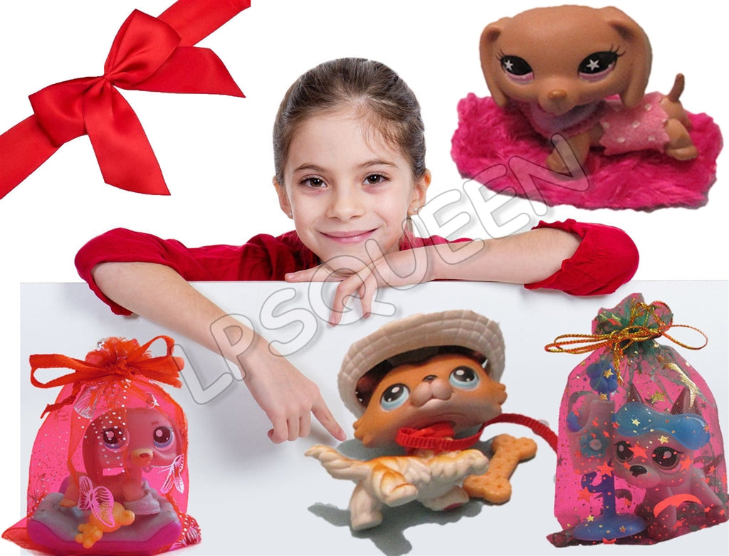 Littlest Pet Shop LPS LOT 4 pcs ( 1 Dog + 3 Clothing Accessories ) LPS ...