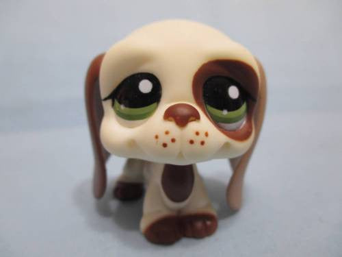 Home / Products / LIKE NEW Littlest Pet Shop 1594 Cream White Brown ...