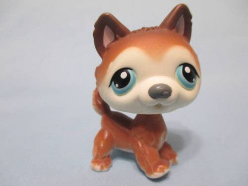 LIKE NEW Littlest Pet Shop 68 Brown White Husky Blue Eyes Puppy Dog ...