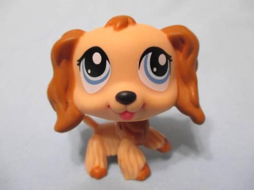 LIKE NEW Littlest Pet Shop 1318 Brown Cocker Spaniel Spaiel Blue Eyes ...