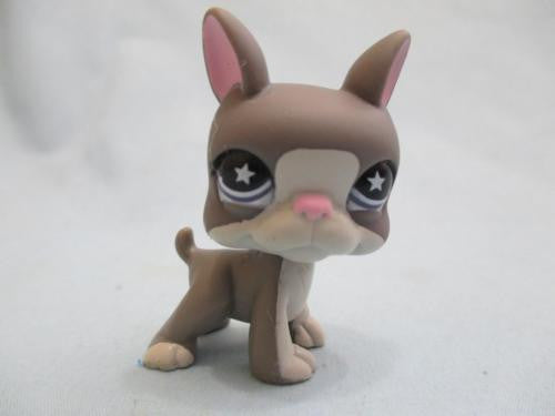 Home / Products / LIKE NEW Littlest Pet Shop Dog Boston Terrier Star ...