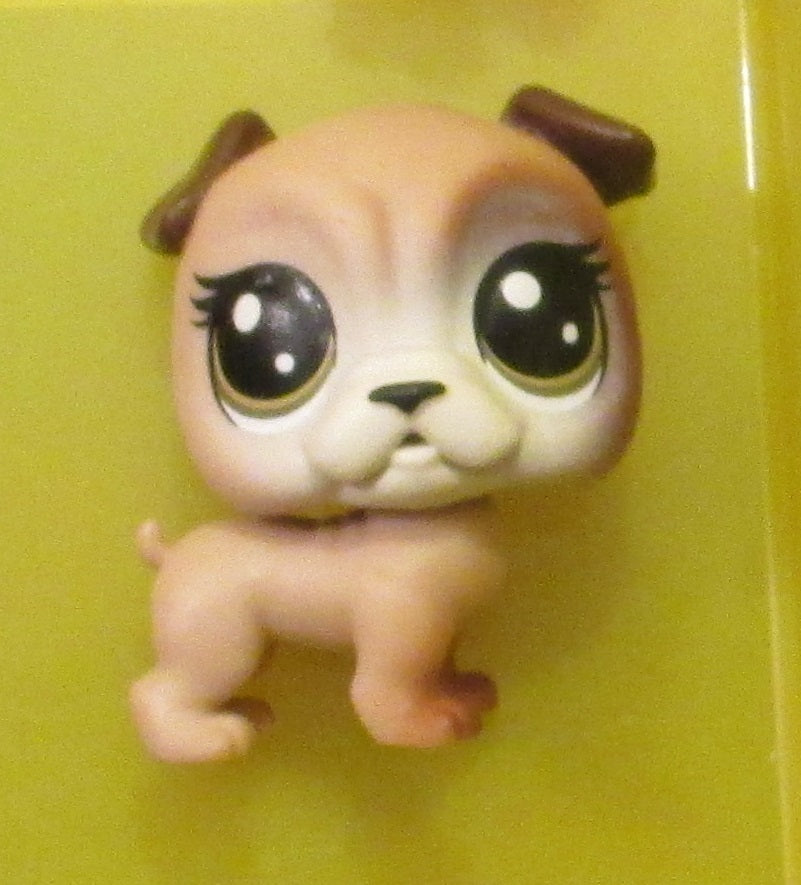 LIKE NEW Littlest Pet Shop New Generation 85 Bullena Doghouser Bulldog ...