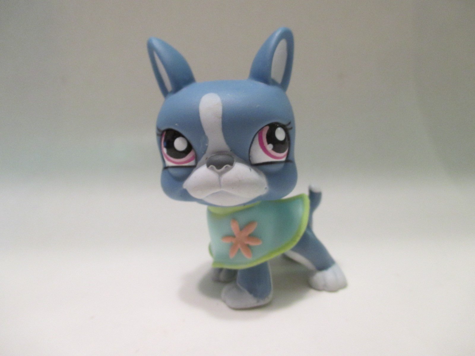 Littlest Pet Shop Blue Boston Terrier 1025 w Original Accessories ...