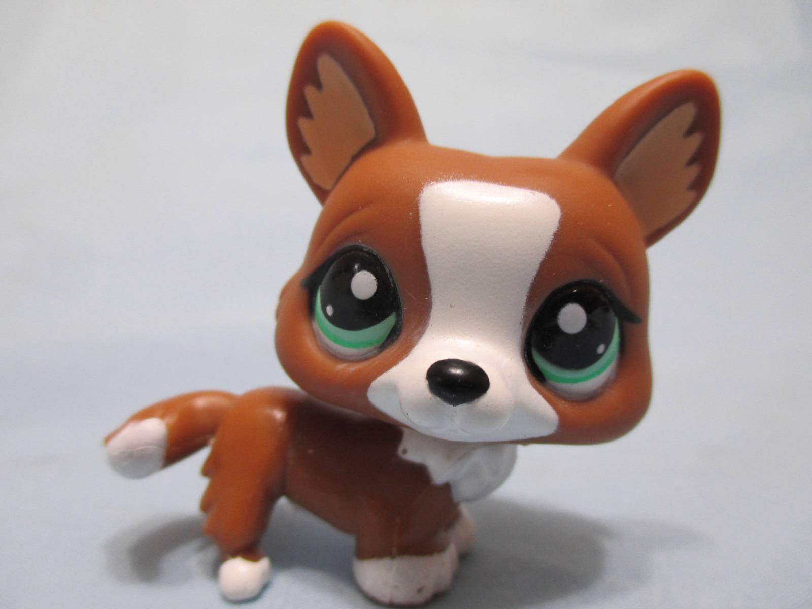 LITTLEST PET SHOP DOG CORGI WELSH CORGI CHOCOLATE BROWN 2150 Authentic ...