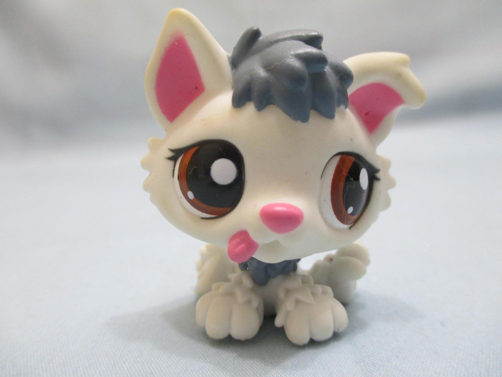 Littlest Pet Shop Puppy Dog Baby Husky 2439 Authentic Lps jl21PO9ct